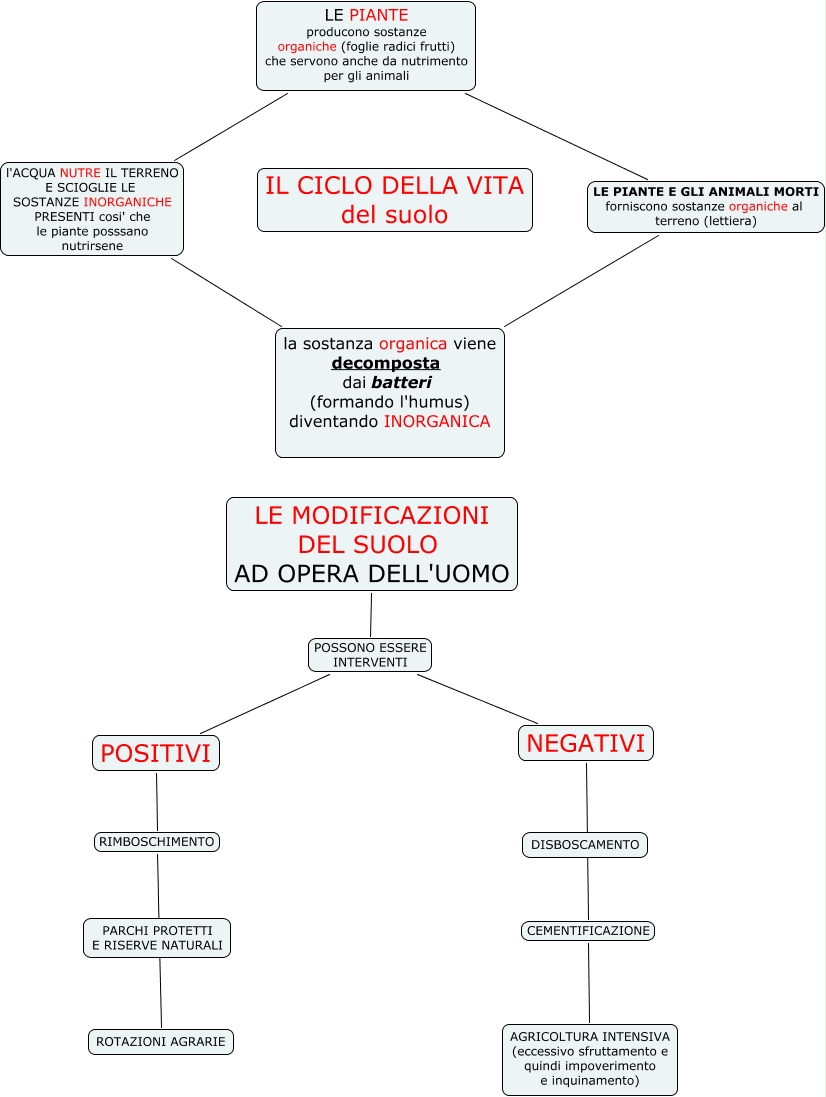 suolo - ciclo della vita - Mappa Concettuale